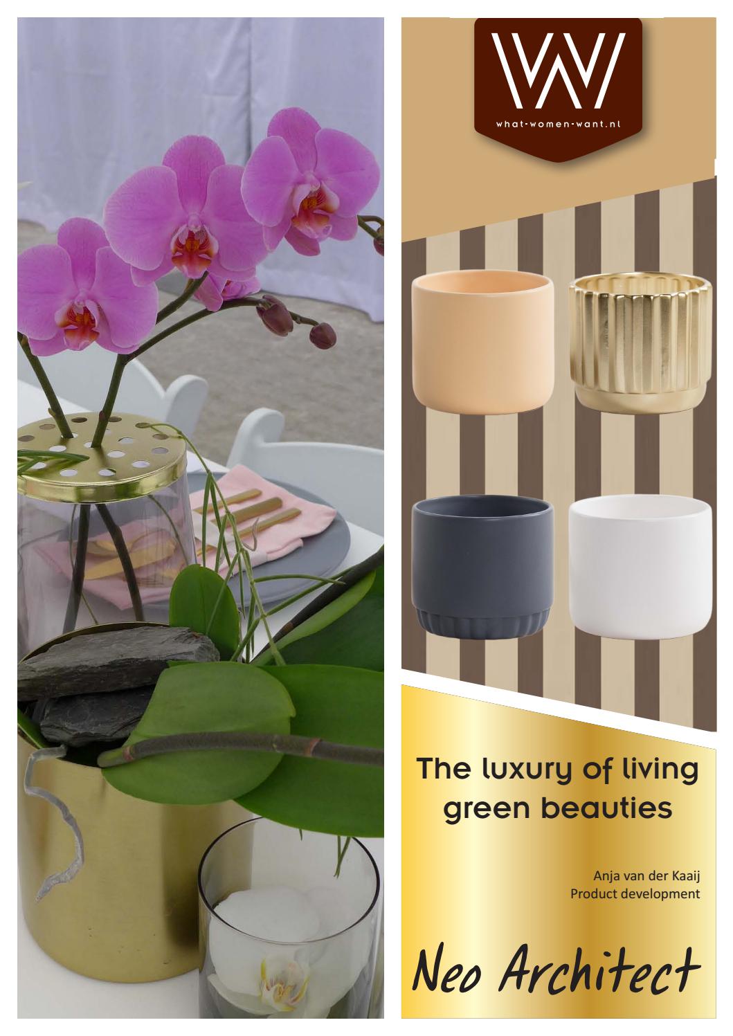 'Neo Architect' catalogue by What-Women-Want Collections - Issuu