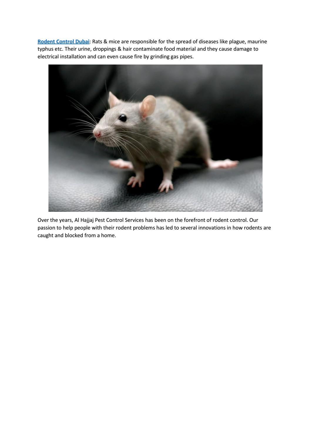 Rodent Control Dubai by alhajjaj pest - Issuu