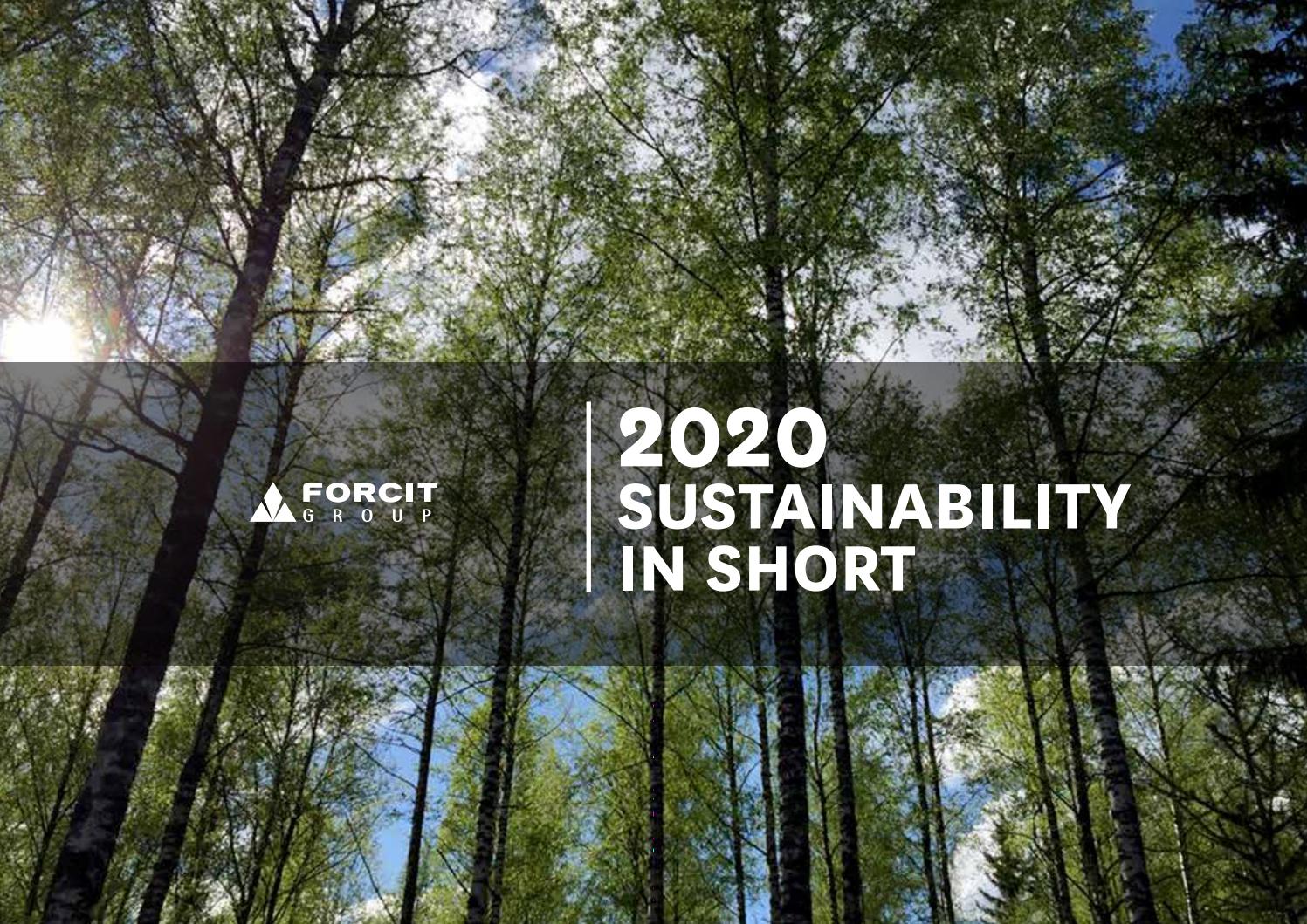 Sustainability in short - FORCIT Group - NO by Forcit Group - Issuu