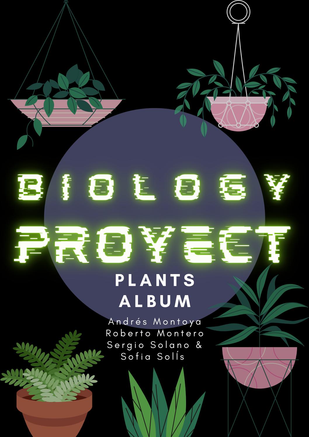 Biology Project-Plants Album by SoLo - Issuu