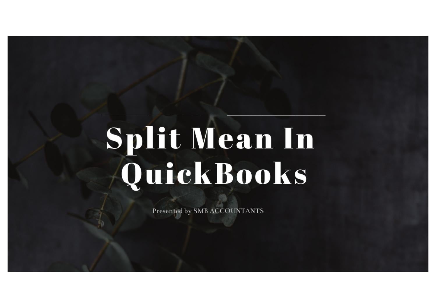 What Does Split Mean In QuickBooks By SMB ACCOUNTANTS Issuu