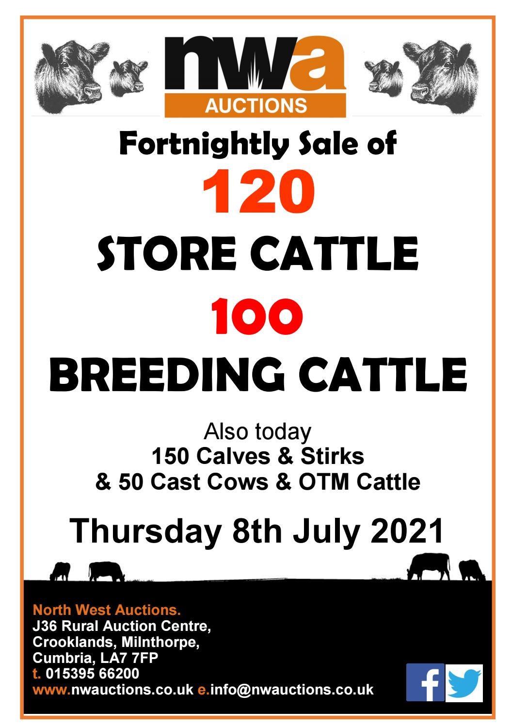 J36 Store Cattle Catalogue by North West Auctions - Issuu