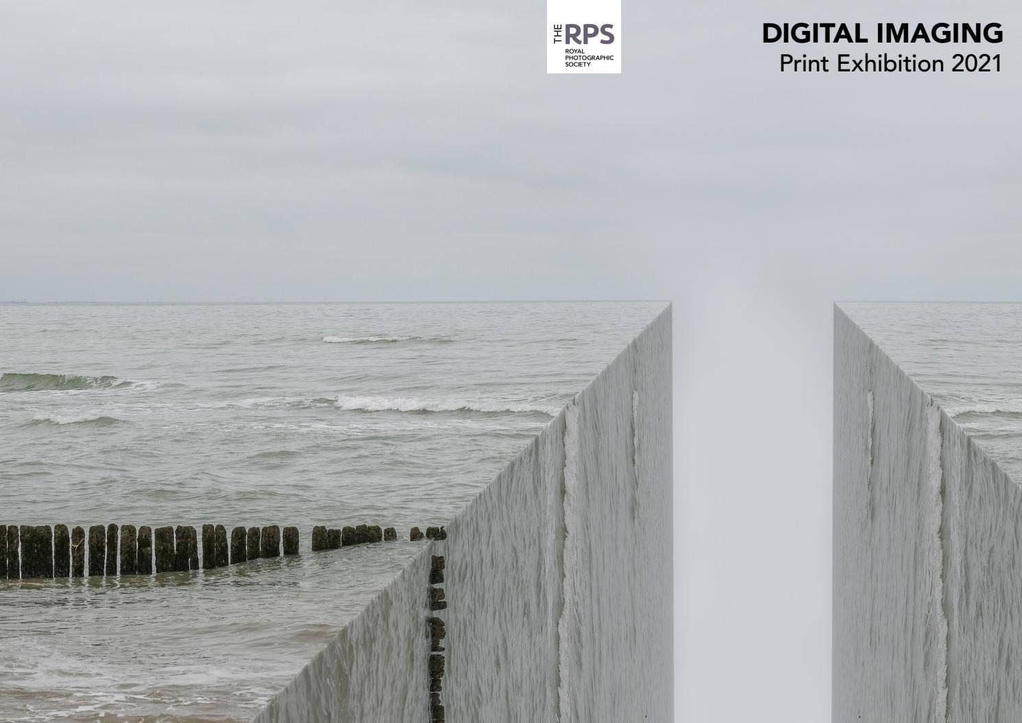 RPS Digital Imaging 2021 Print Exhibition Catalogue by Royal ...