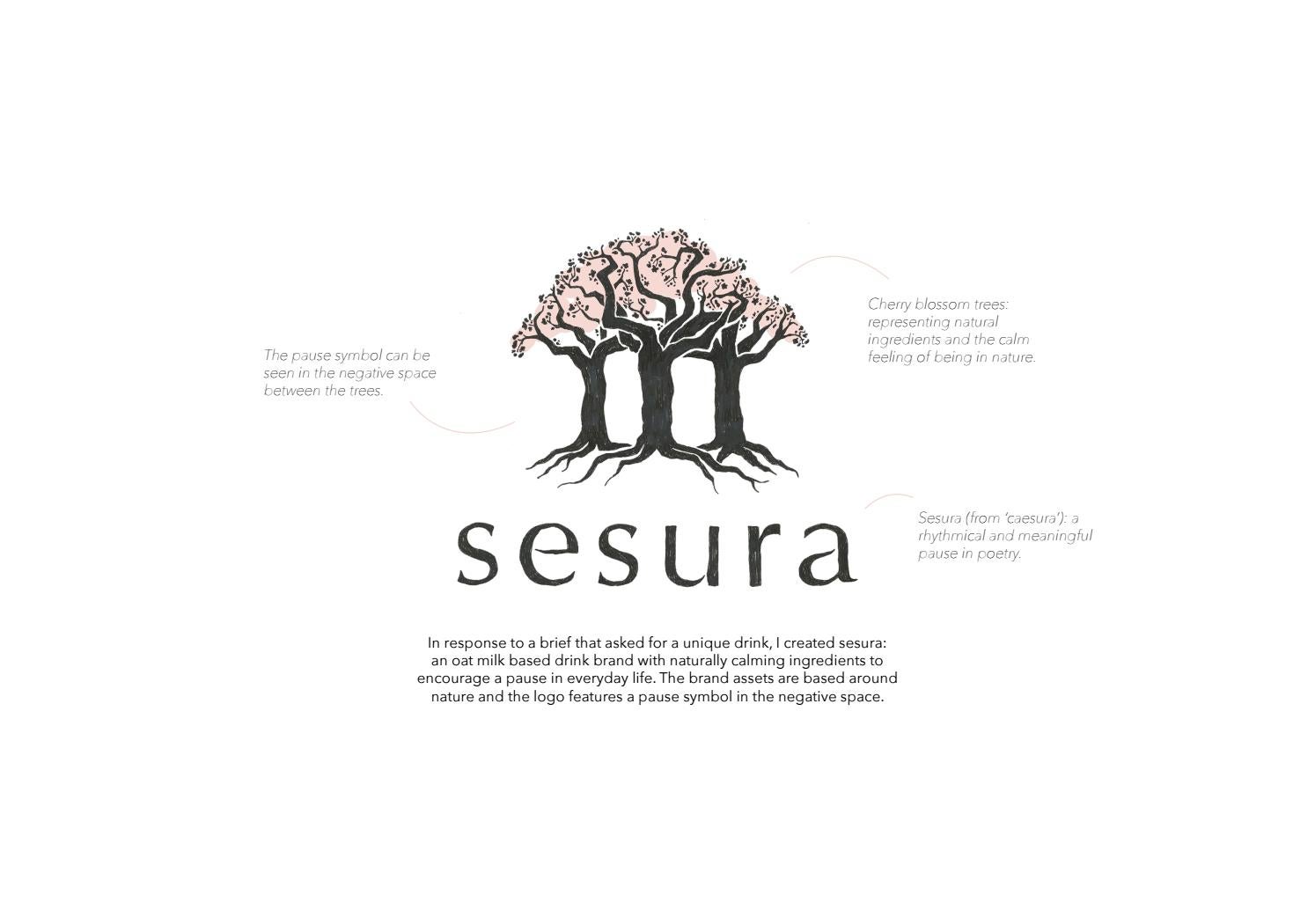 Sesura by Northumbria University - Issuu