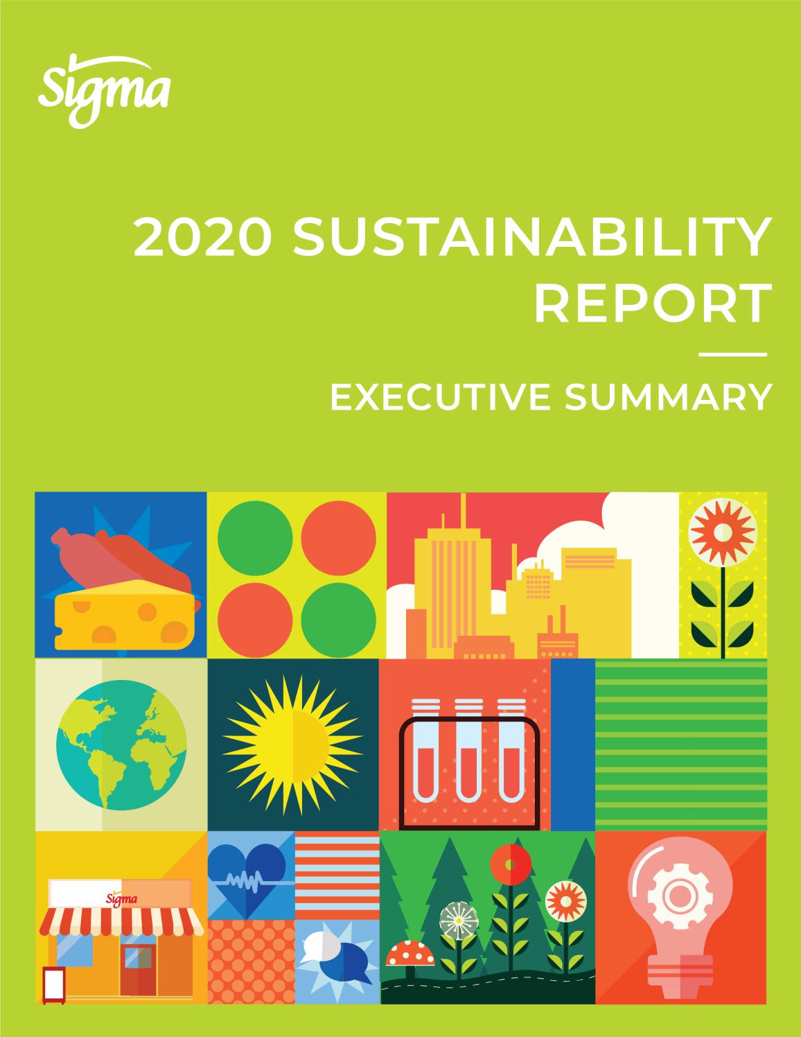 Sigma's Sustainability Report 2020, executive summary by Sigma - Issuu