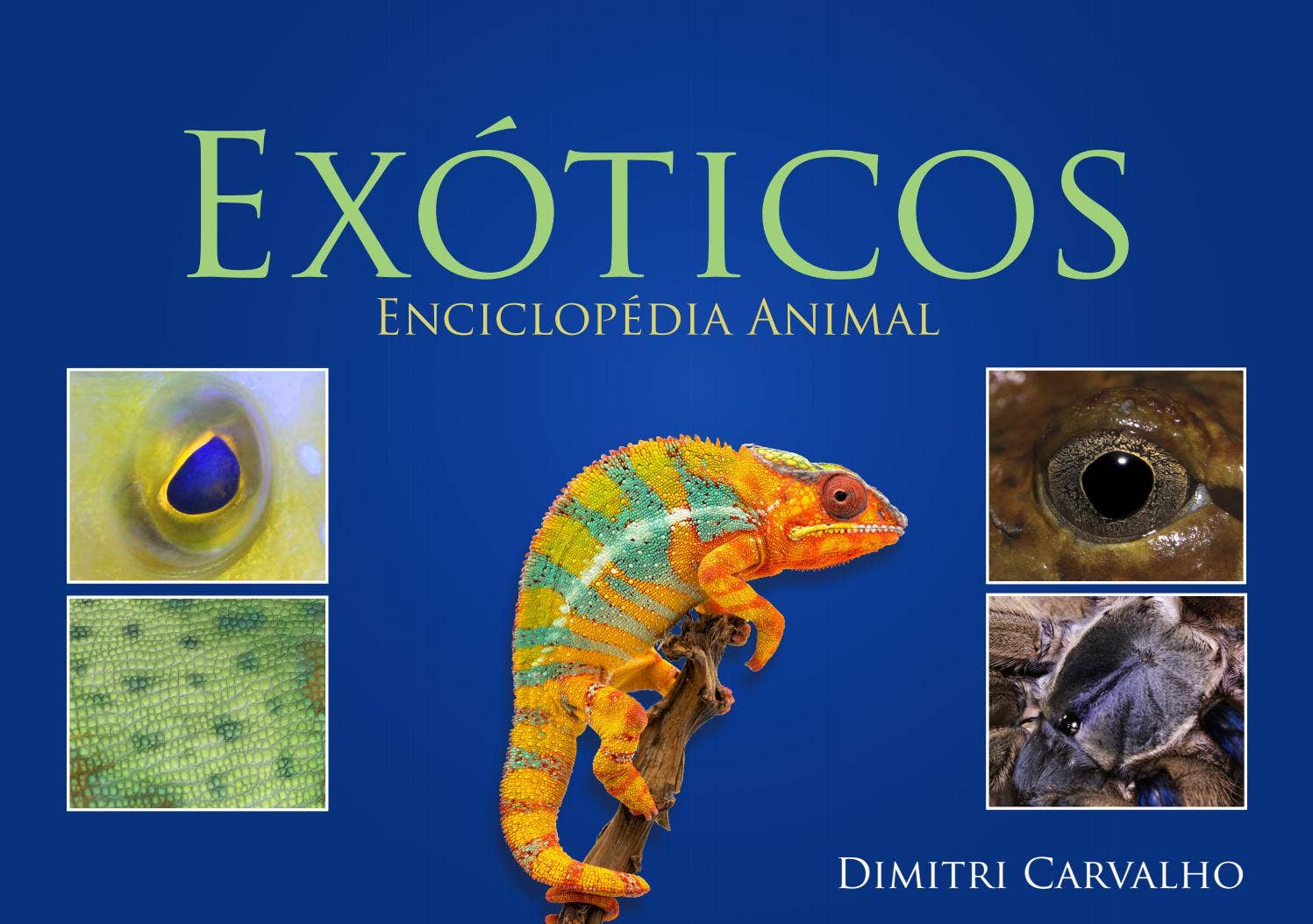 PAP Exemplo Final Enciclopédia Animal by WalloCM - Issuu