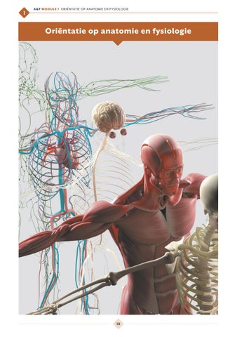 Traject Zorg Anatomie en fysiologie niveau 3 by ThiemeMeulenhoff - Issuu