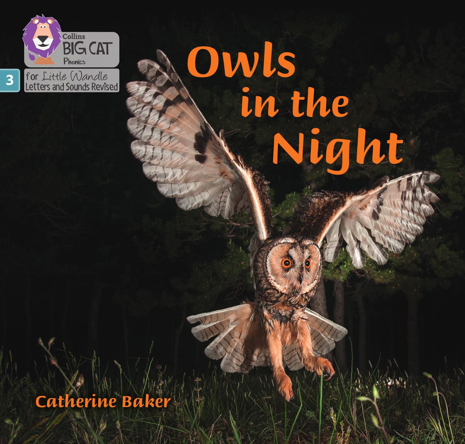 Collins Big Cat Phonics for Little Wandle Letters and Sounds Revised ...