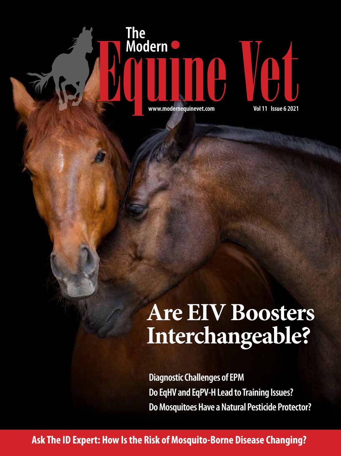 The Modern Equine Vet - June 2021 by The Modern Equine Vet - Issuu