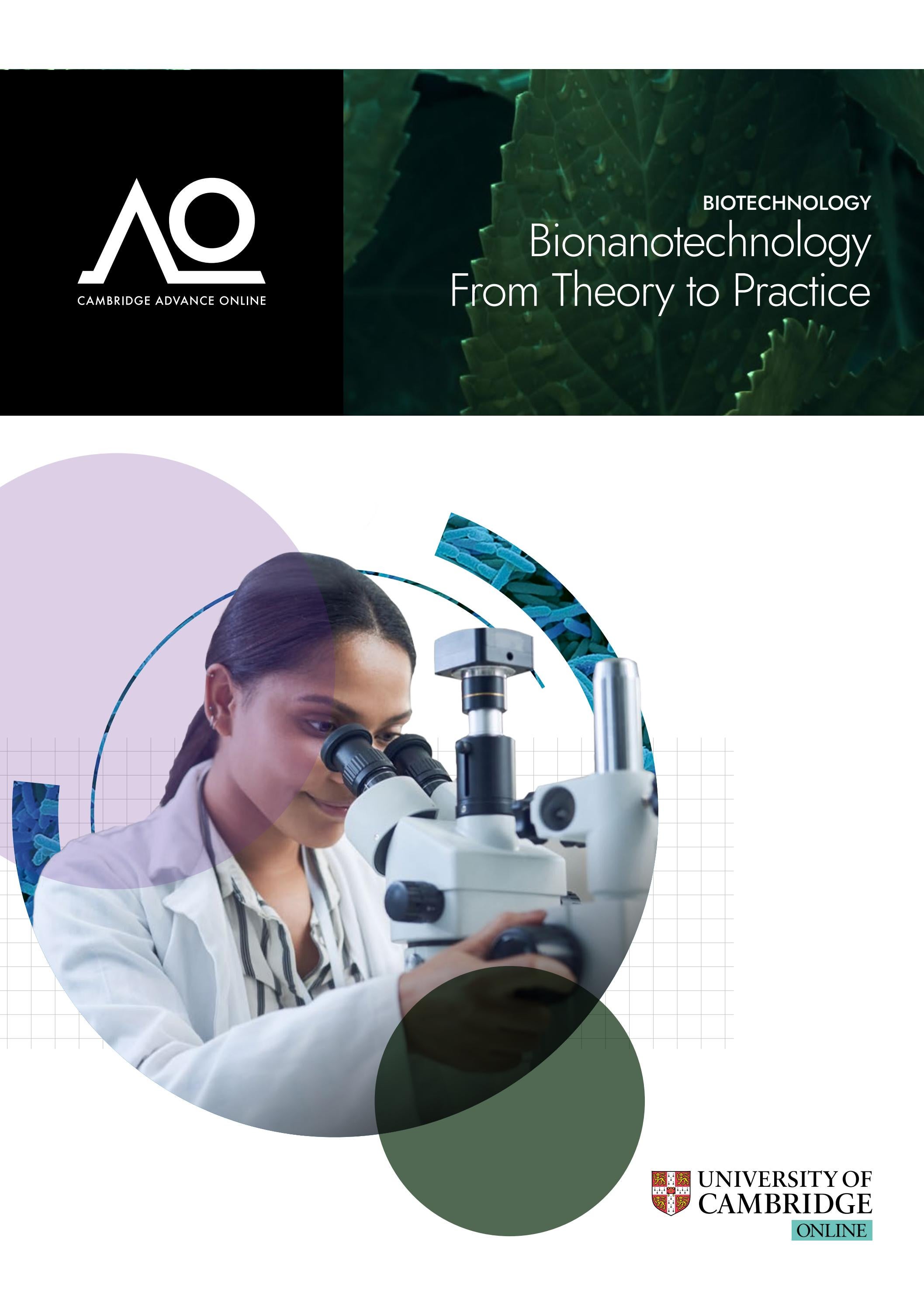 Bionanotechnology From Theory to Practice by Cambridge University Press ...