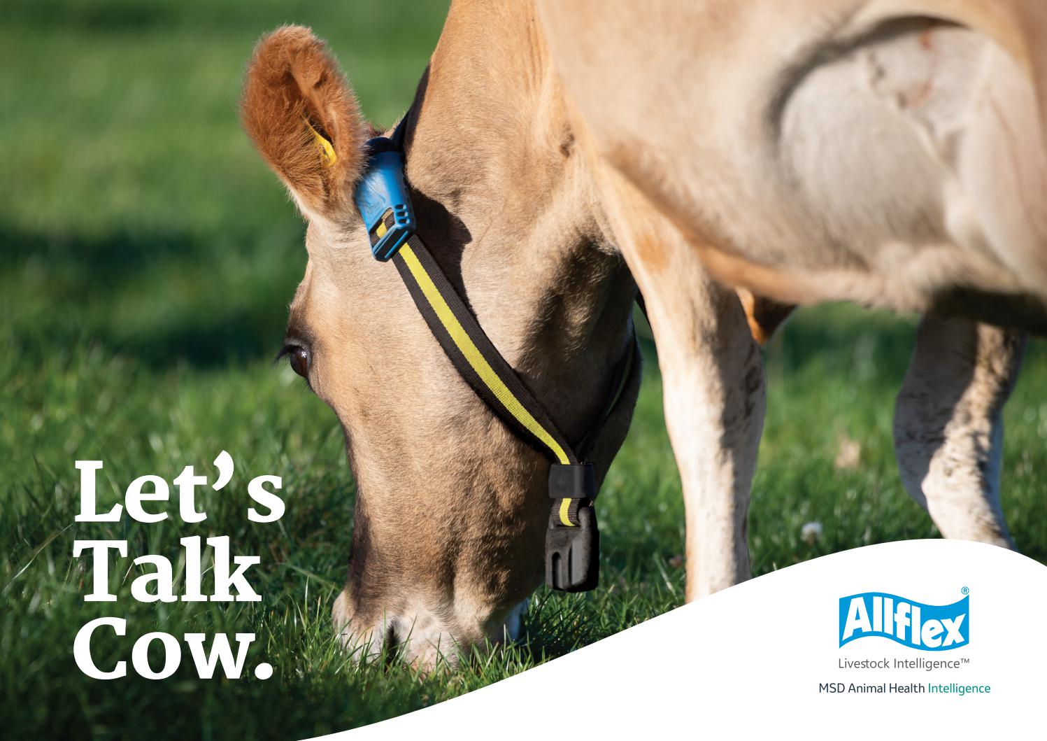 Allflex – Let's Talk Cow by NZ Farmlife Media - Issuu