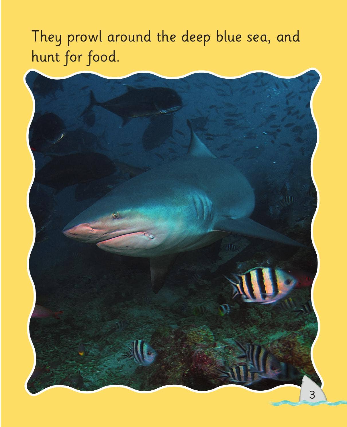 Big Cat Phonics for Little Wandle Letters and Sounds Revised - Sharks ...