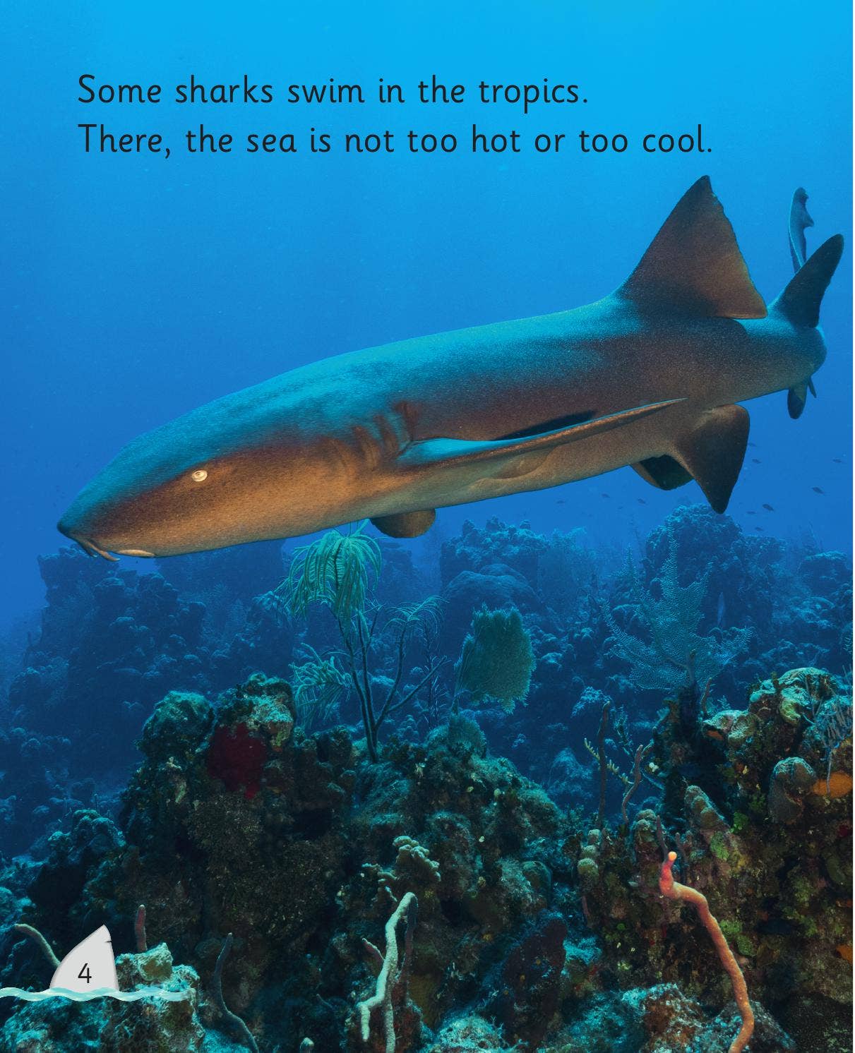 Big Cat Phonics for Little Wandle Letters and Sounds Revised - Sharks ...