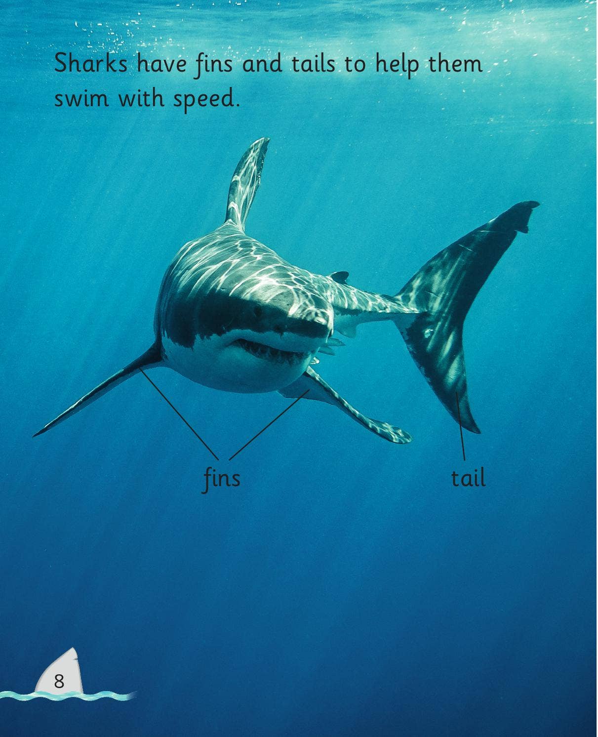 Big Cat Phonics for Little Wandle Letters and Sounds Revised - Sharks ...