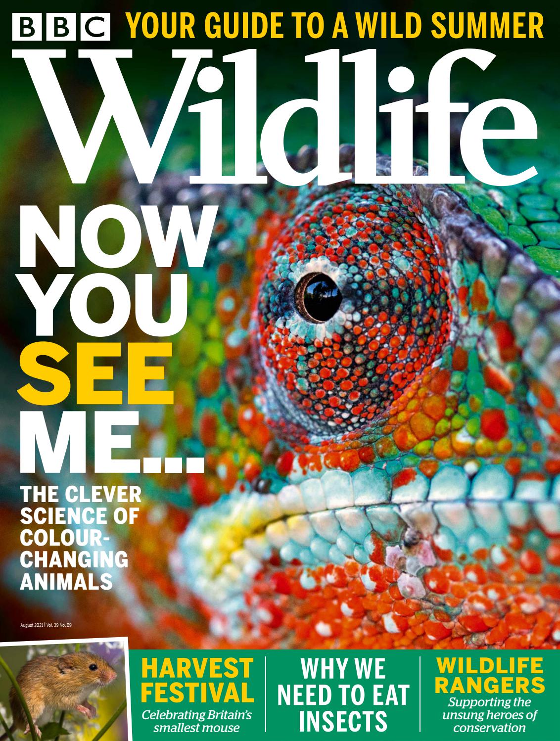 BBC Wildlife by Immediate Media Co magazines - Issuu