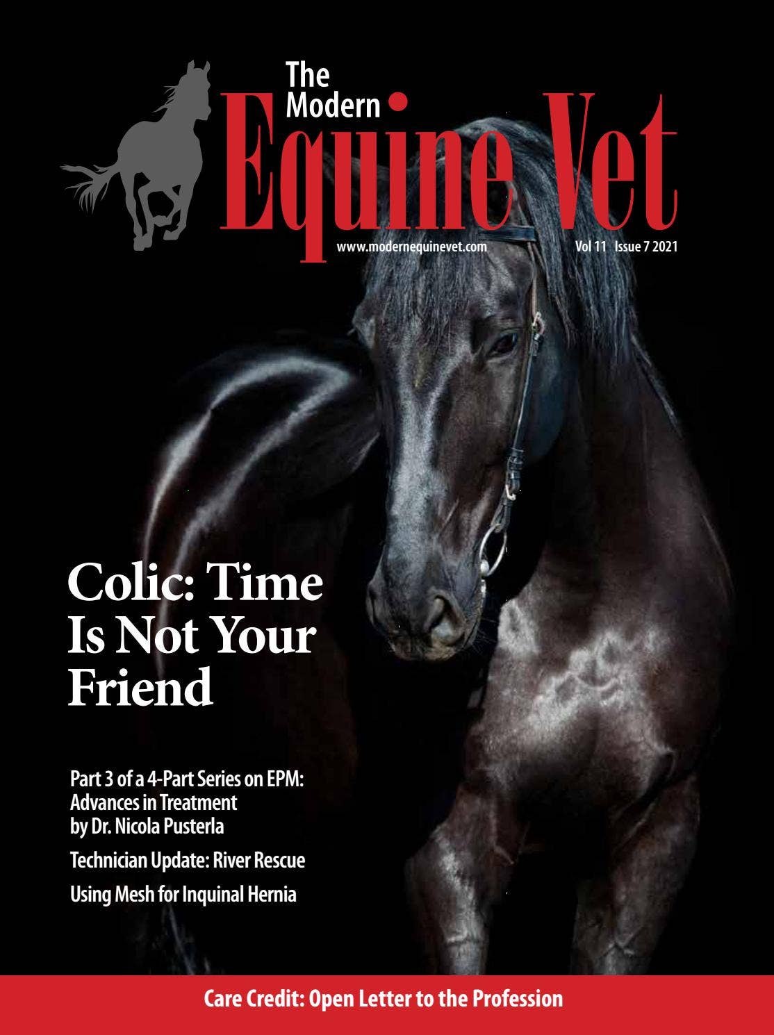 The Modern Equine Vet - July 2021 by The Modern Equine Vet - Issuu