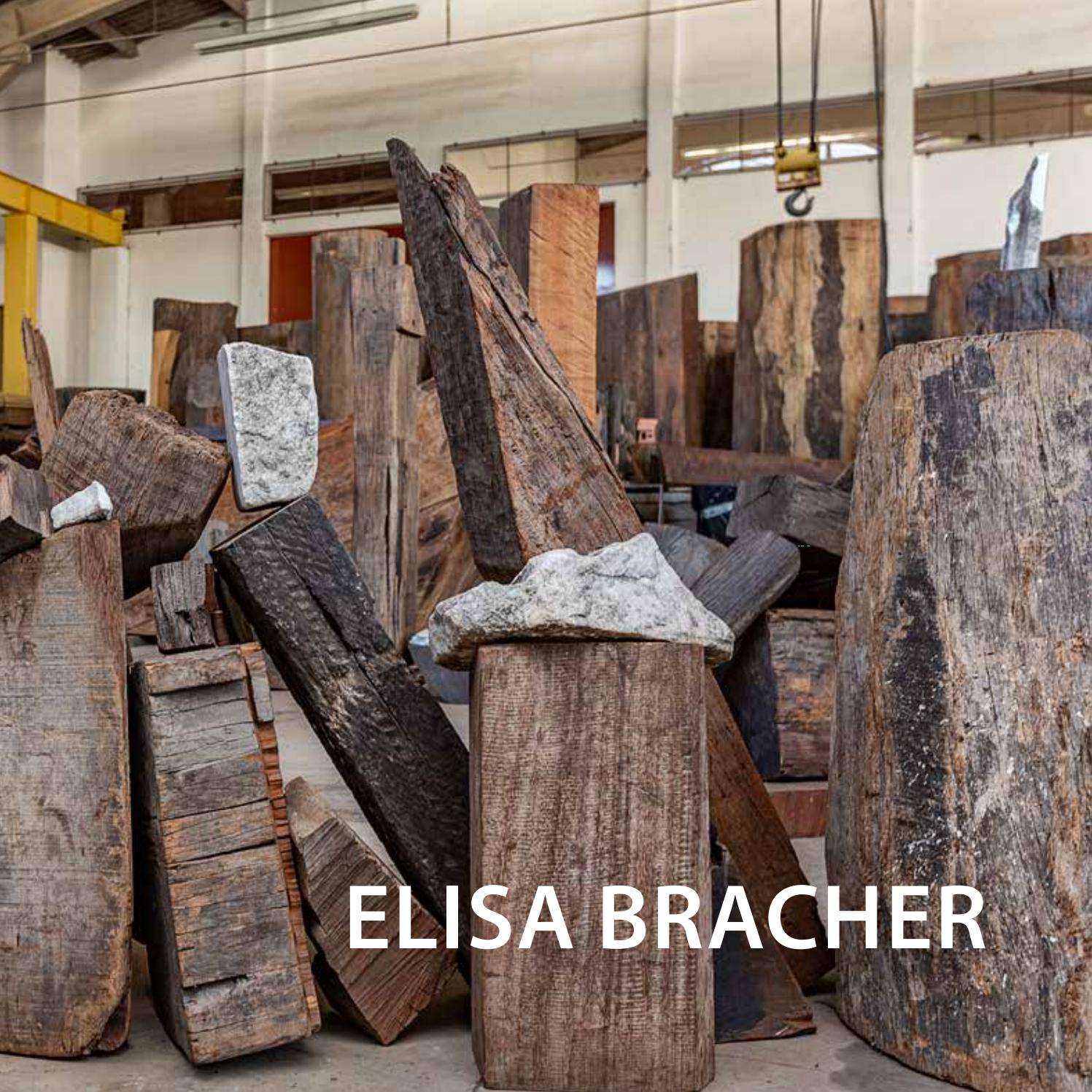 2021 | Catálogo Elisa Bracher - Terra de ninguém by Galeria Estação - Issuu