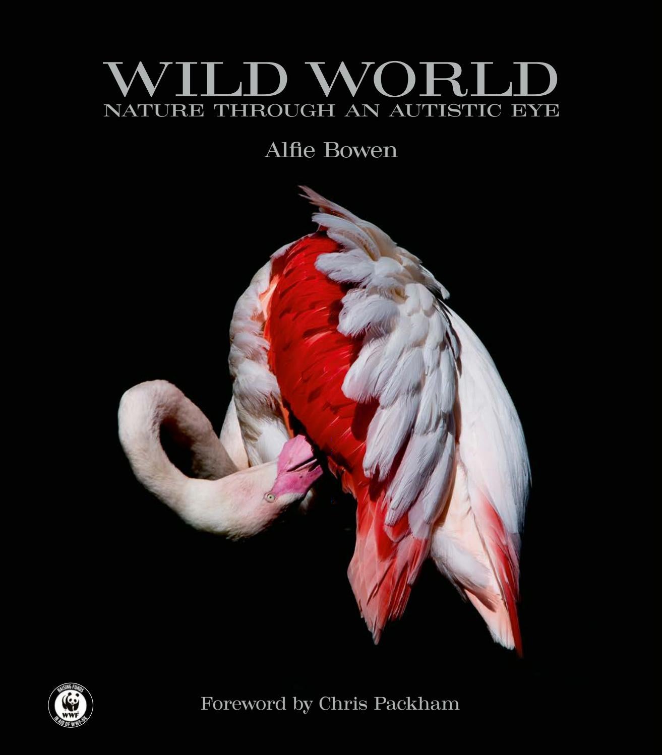 Wild World by ACC Art Books - Issuu
