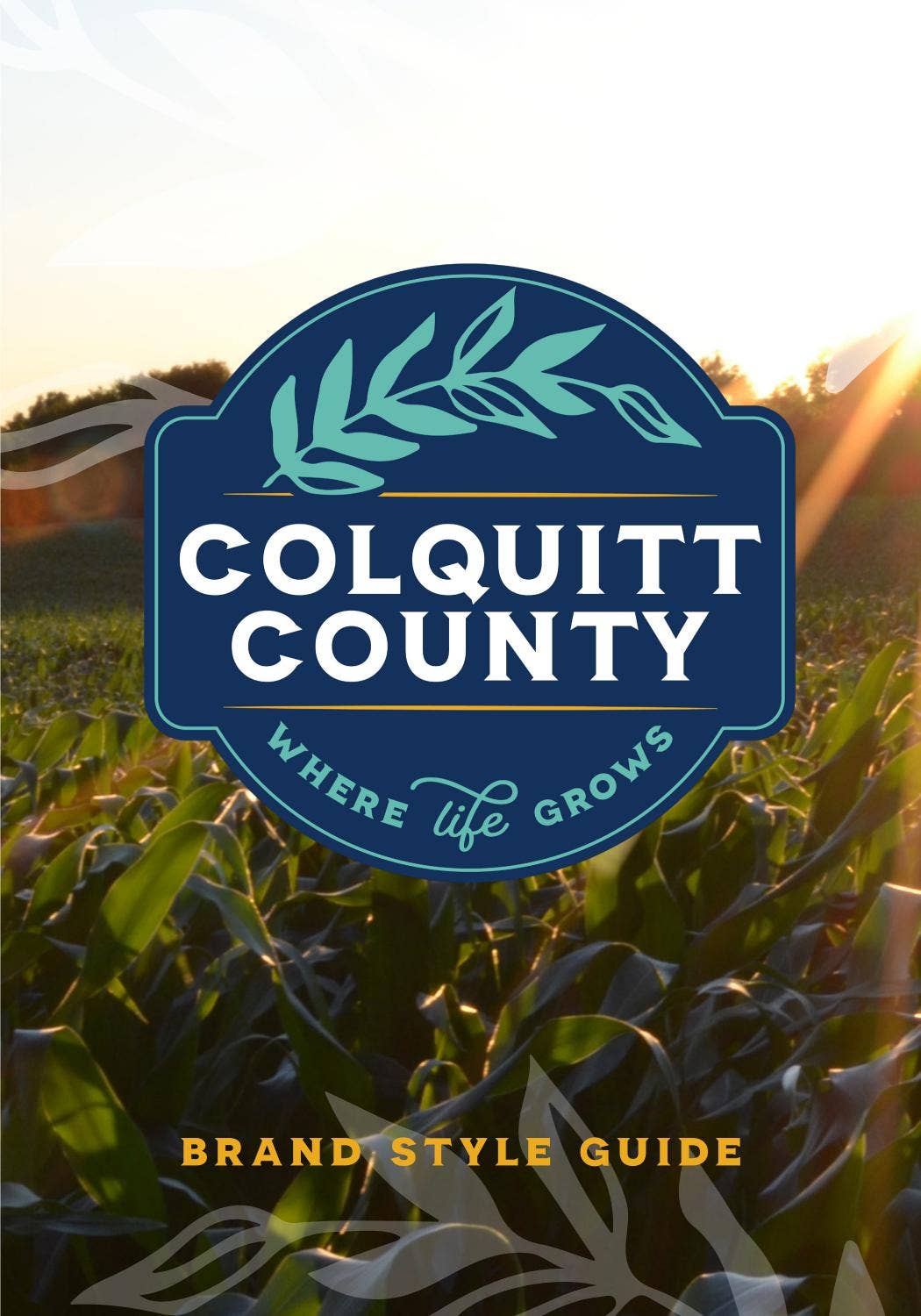 Colquitt County Mini Lookbook by Spectrum Studio, Carl Vinson Institute ...
