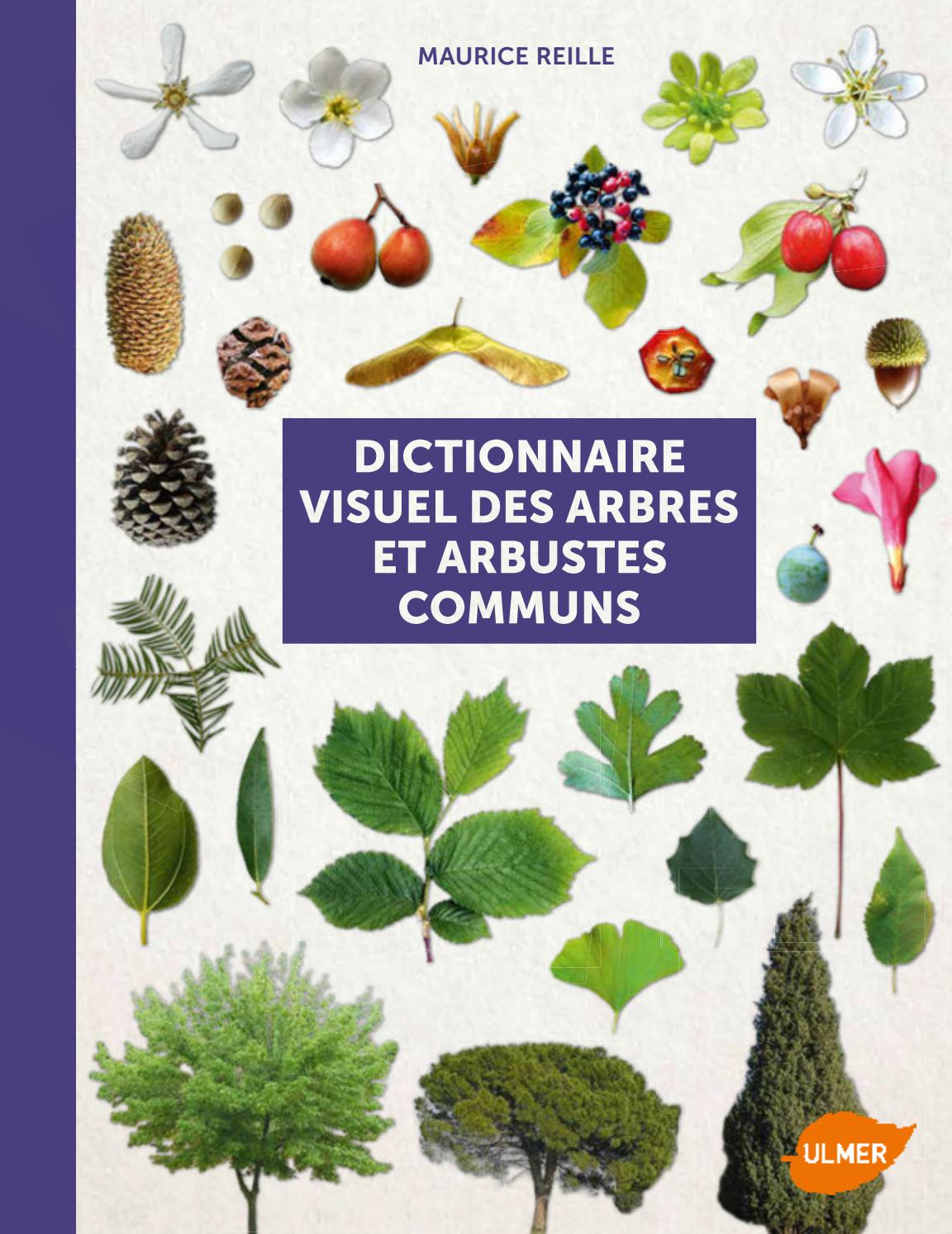 Extrait Dictionnaire visuel des arbres et arbustes - Éditions Ulmer by ...
