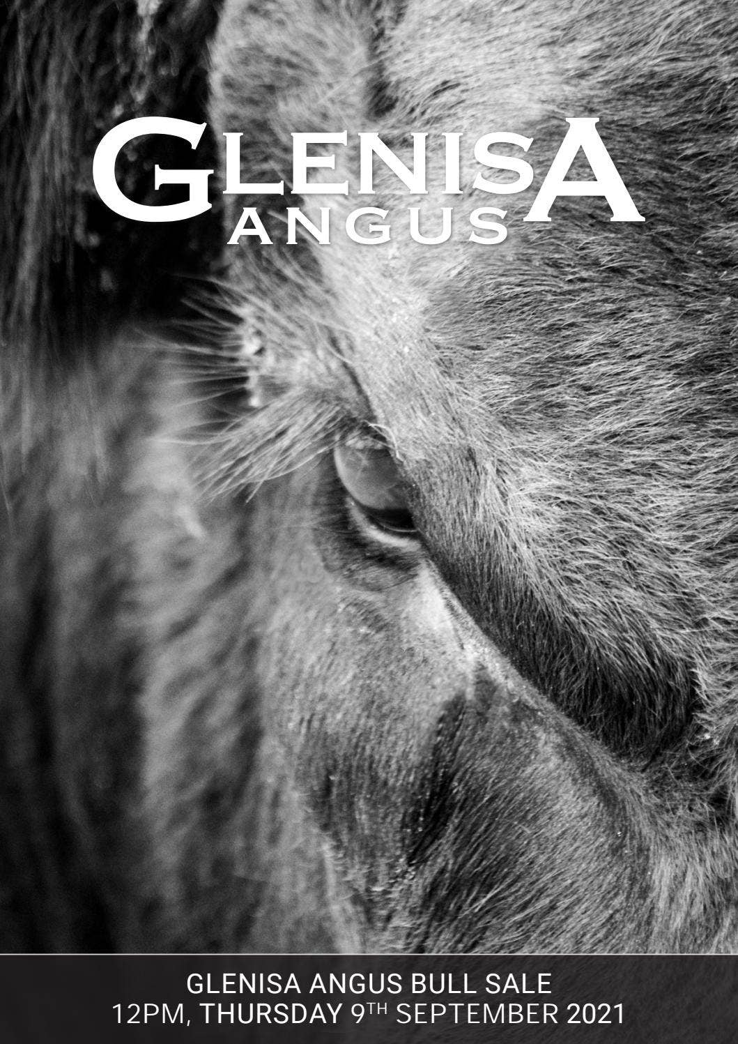 Glenisa Angus 2021 Bull Sale Catalogue by Eight Pointer Creative Agency ...