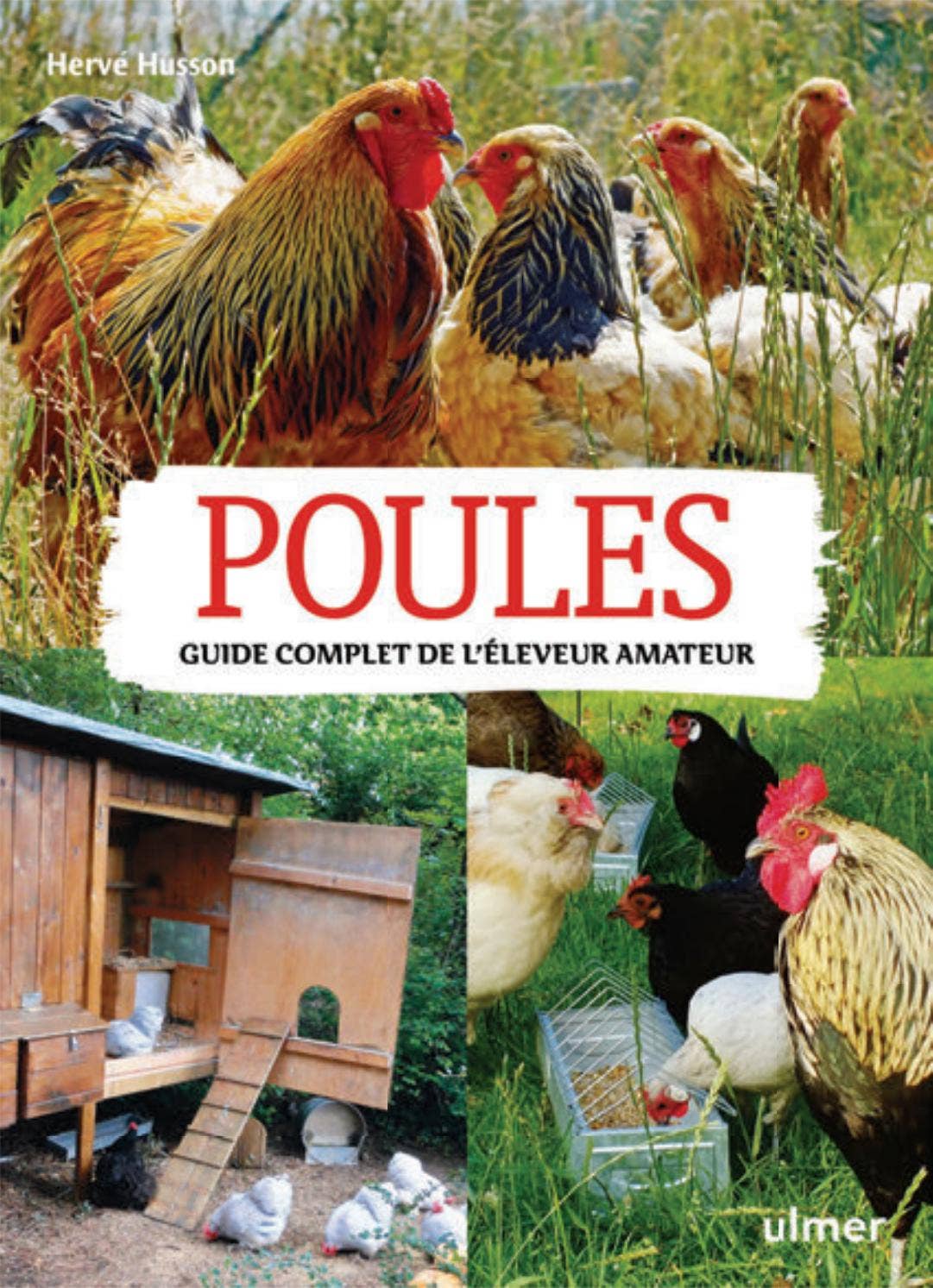 Extrait Poules Guide complet de l'éleveur amateur - Éditions ULMER by Éditions Ulmer - Issuu