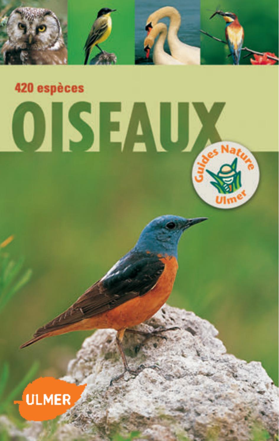 Extrait Oiseaux - Éditions Ulmer by Éditions Ulmer - Issuu