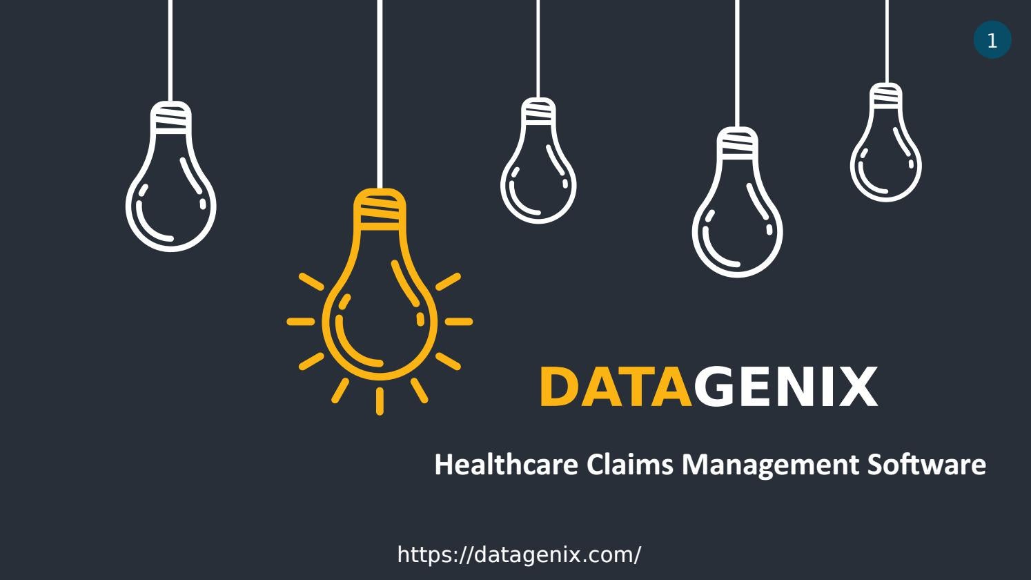 Healthcare Claims Management Software by DataGenix - Issuu