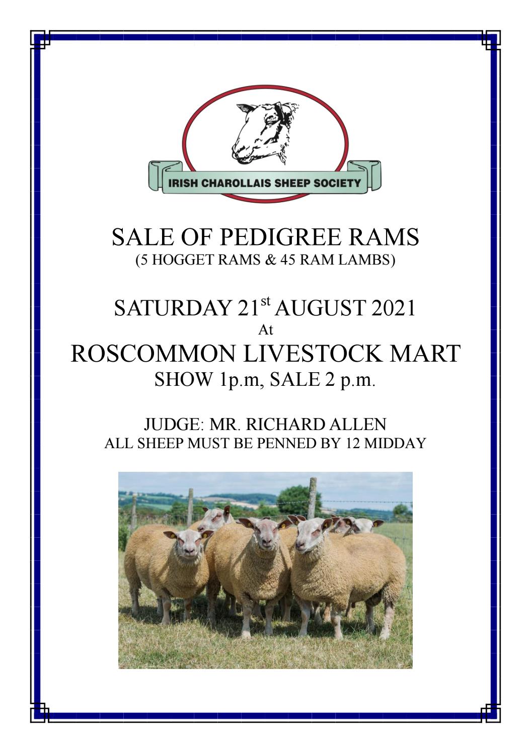 Irish Charollais Roscommon 1st Sale 2021 by Irish Charollais Sheep ...