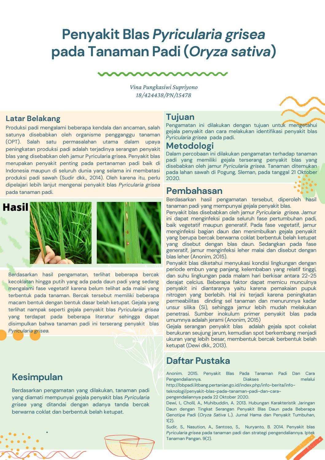 Poster Penyakit Blas Daun pada Padi by Vina Pungkasiwi Supriyono - Issuu