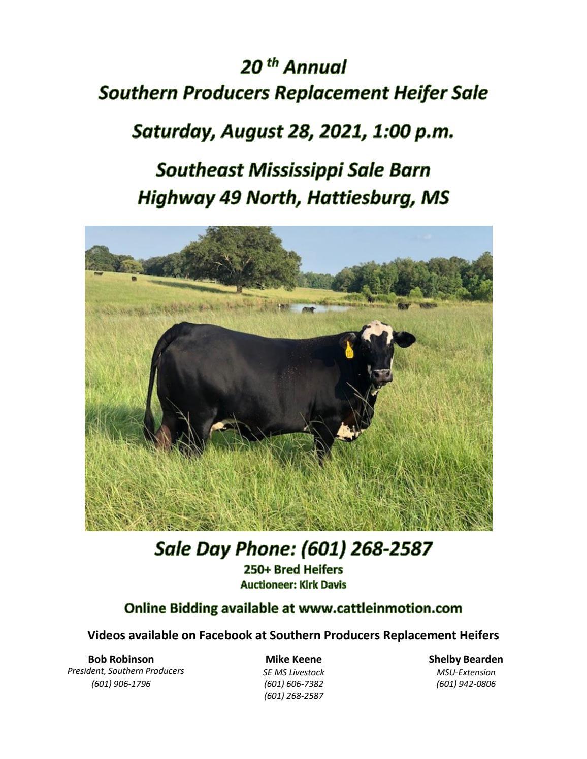 Southern Producers Replacement Heifer Sale by Cattle In Motion, LLC - Issuu