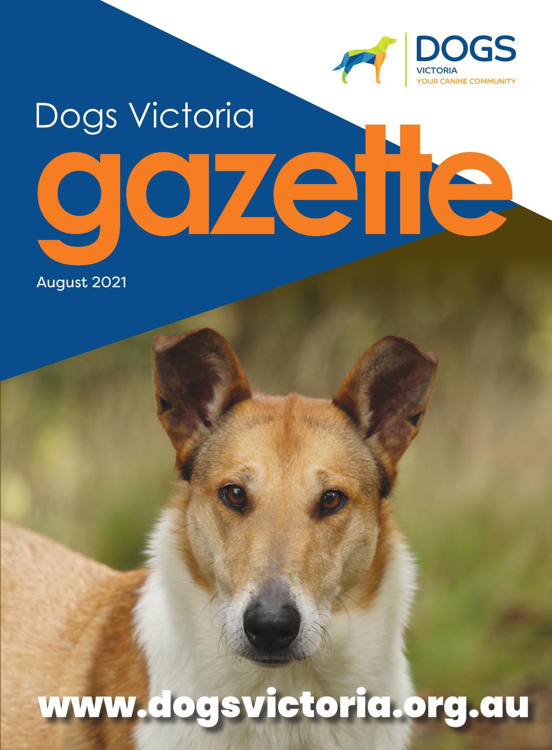 Dogs Victoria August Gazette 2021 by Dogs Victoria - Issuu