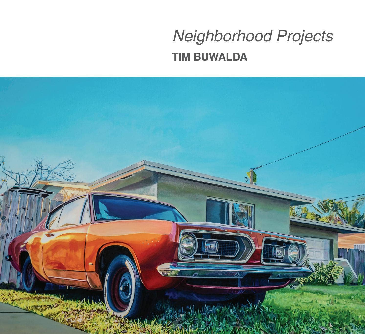 Tim Buwalda: Neighborhood Projects Exhibition Catalogue by LnS Gallery ...