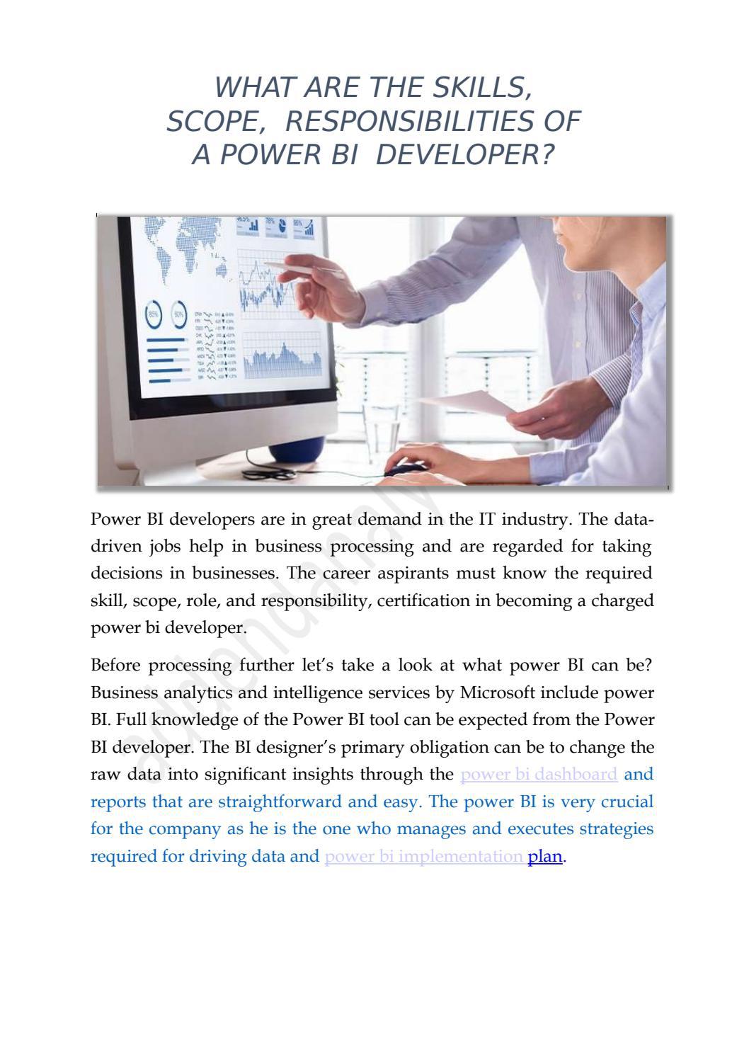 WHAT ARE THE SKILLS, SCOPE, RESPONSIBILITIES OF A POWER BI DEVELOPER by ...
