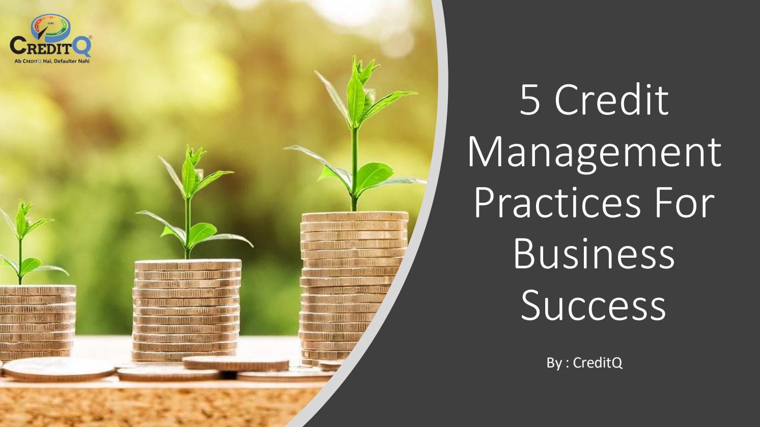 5 Credit Management Practices For Business Success by CreditQ - Issuu
