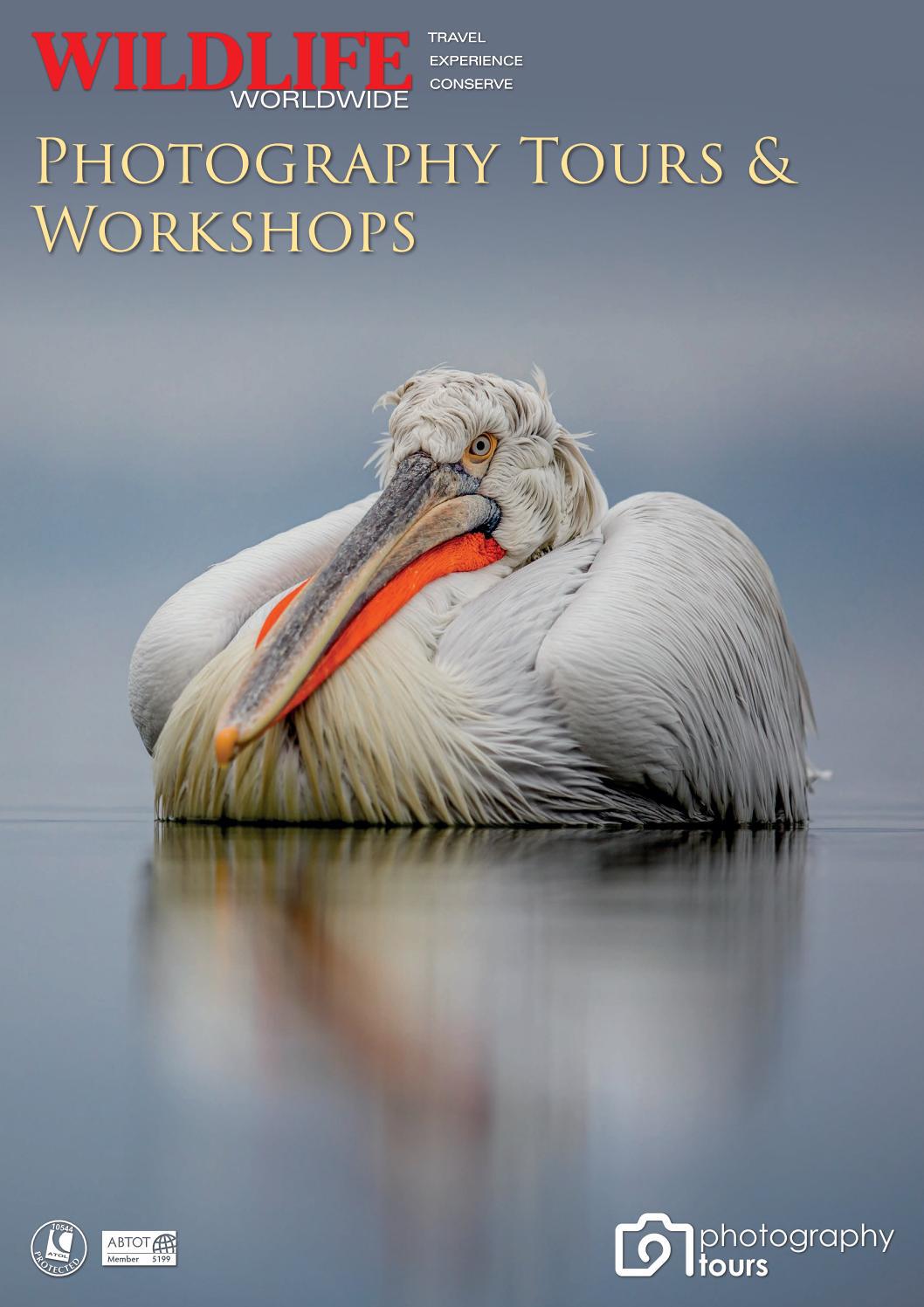 Wildlife Worldwide Photography Tours & Workshops Brochure 2021 by The ...