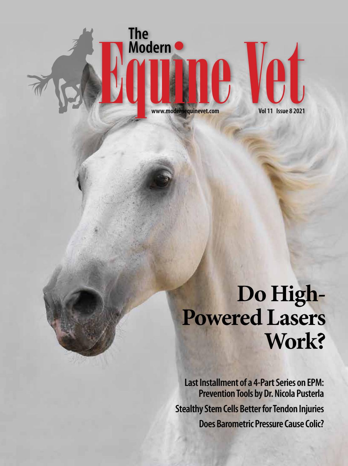 The Modern Equine Vet - August 2021 by The Modern Equine Vet - Issuu