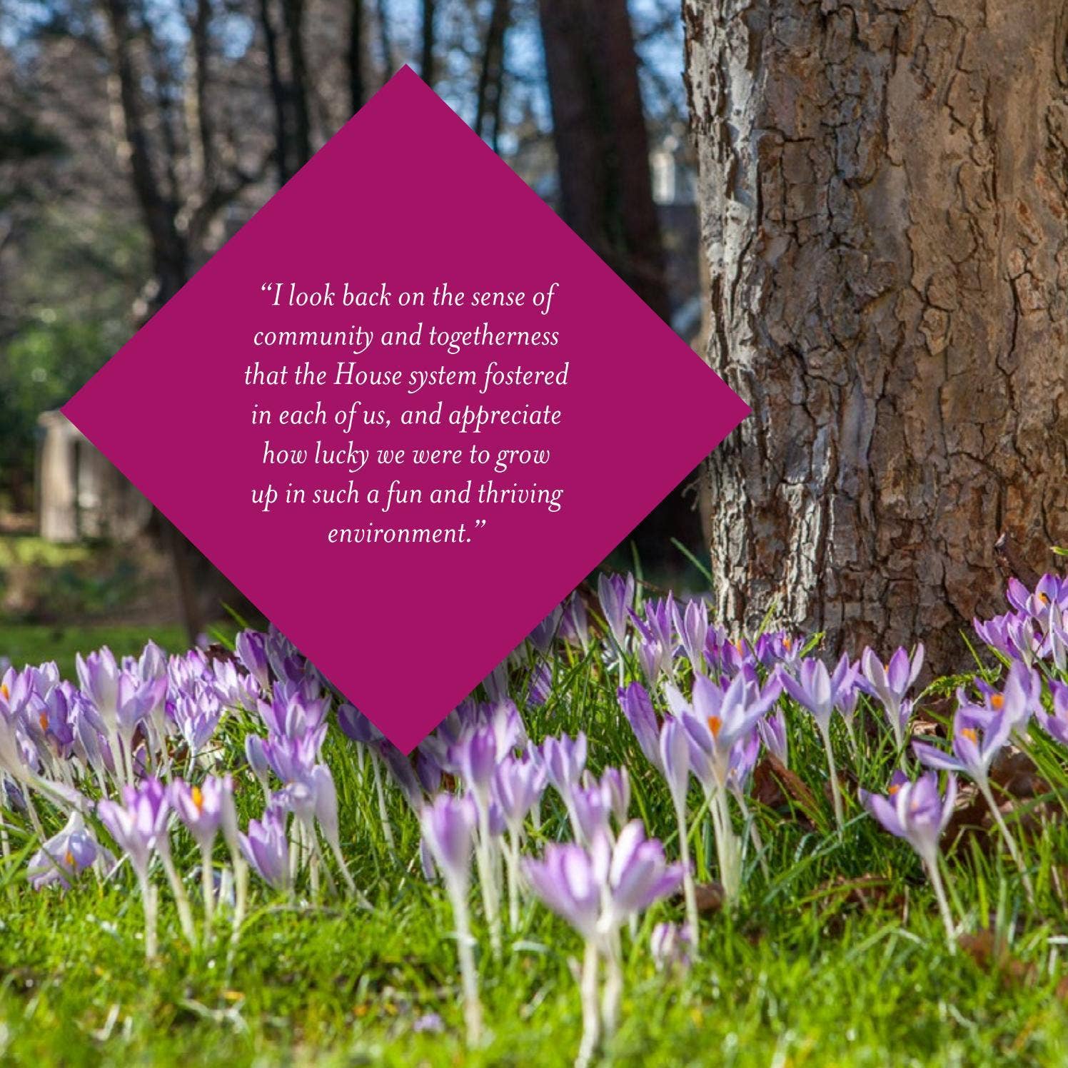 Fettes College Boarding Brochure by Fettes_College - Issuu