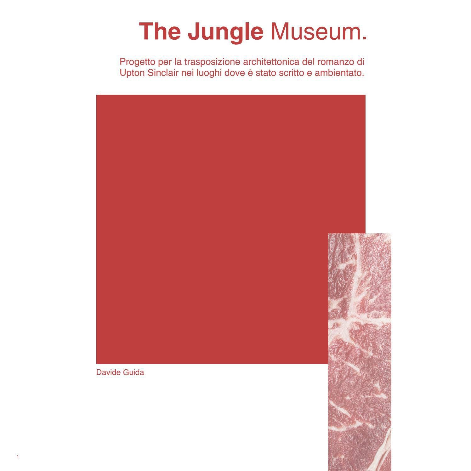 The Jungle Museum. (Master Thesis) by Davide Guida - Issuu