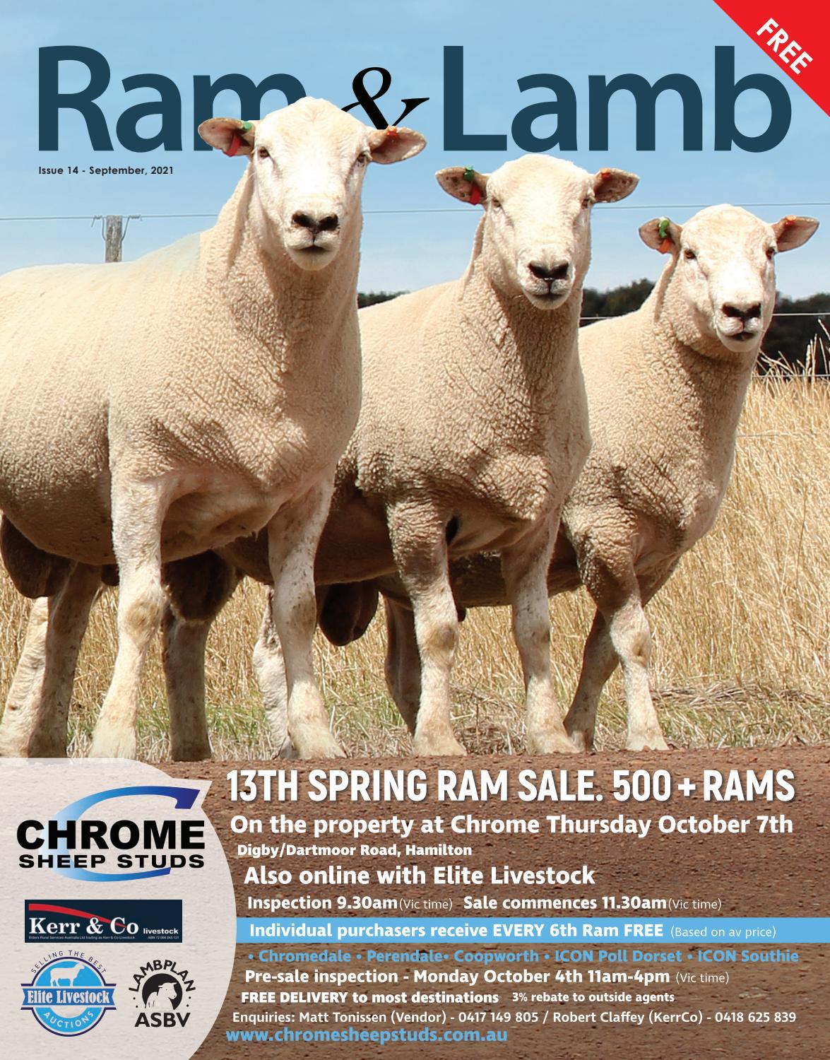 Ram & Lamb 2021 by Crocmedia Lifestyle1 - Issuu