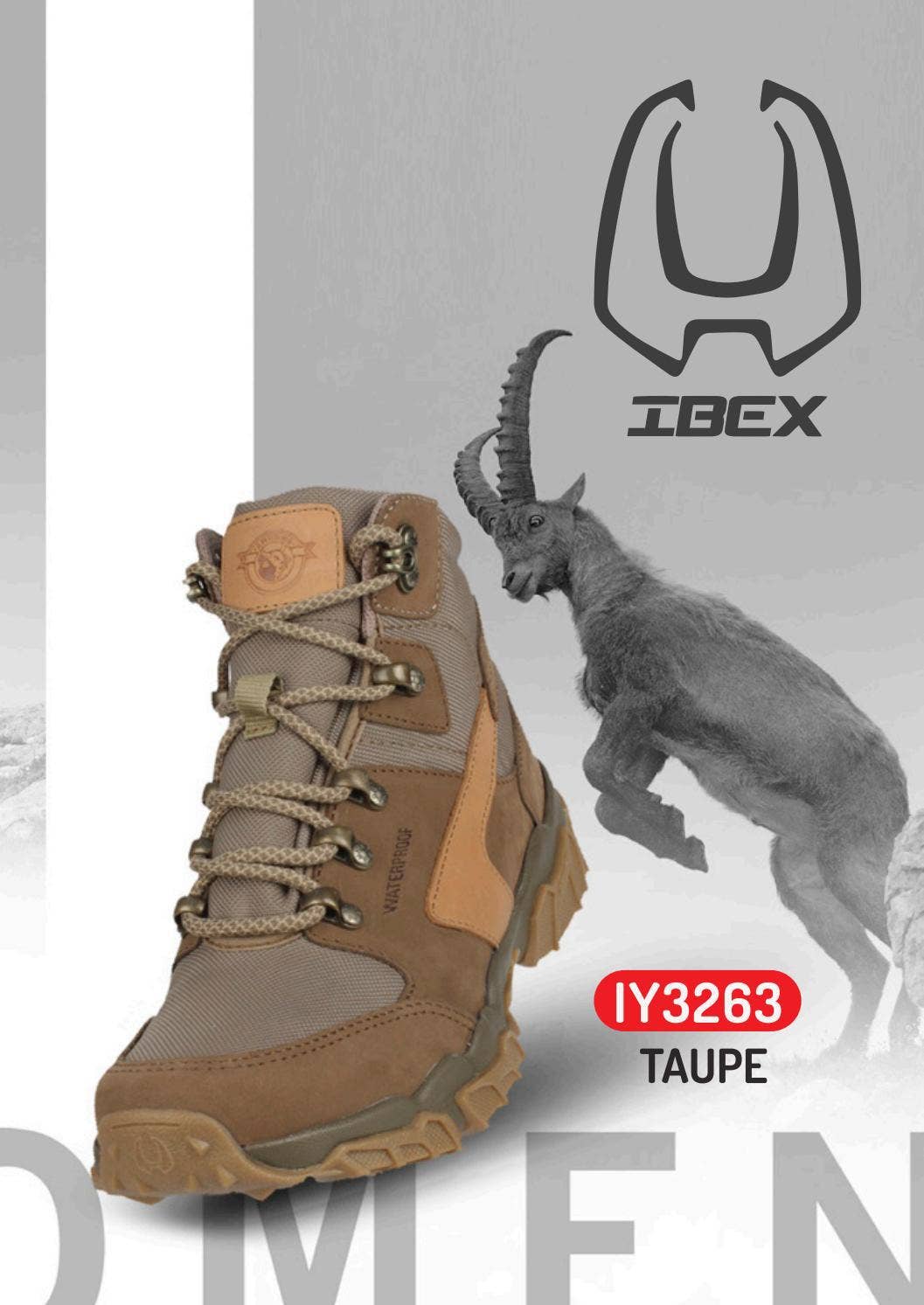 Inserto 2021 by Sam Daza - Issuu