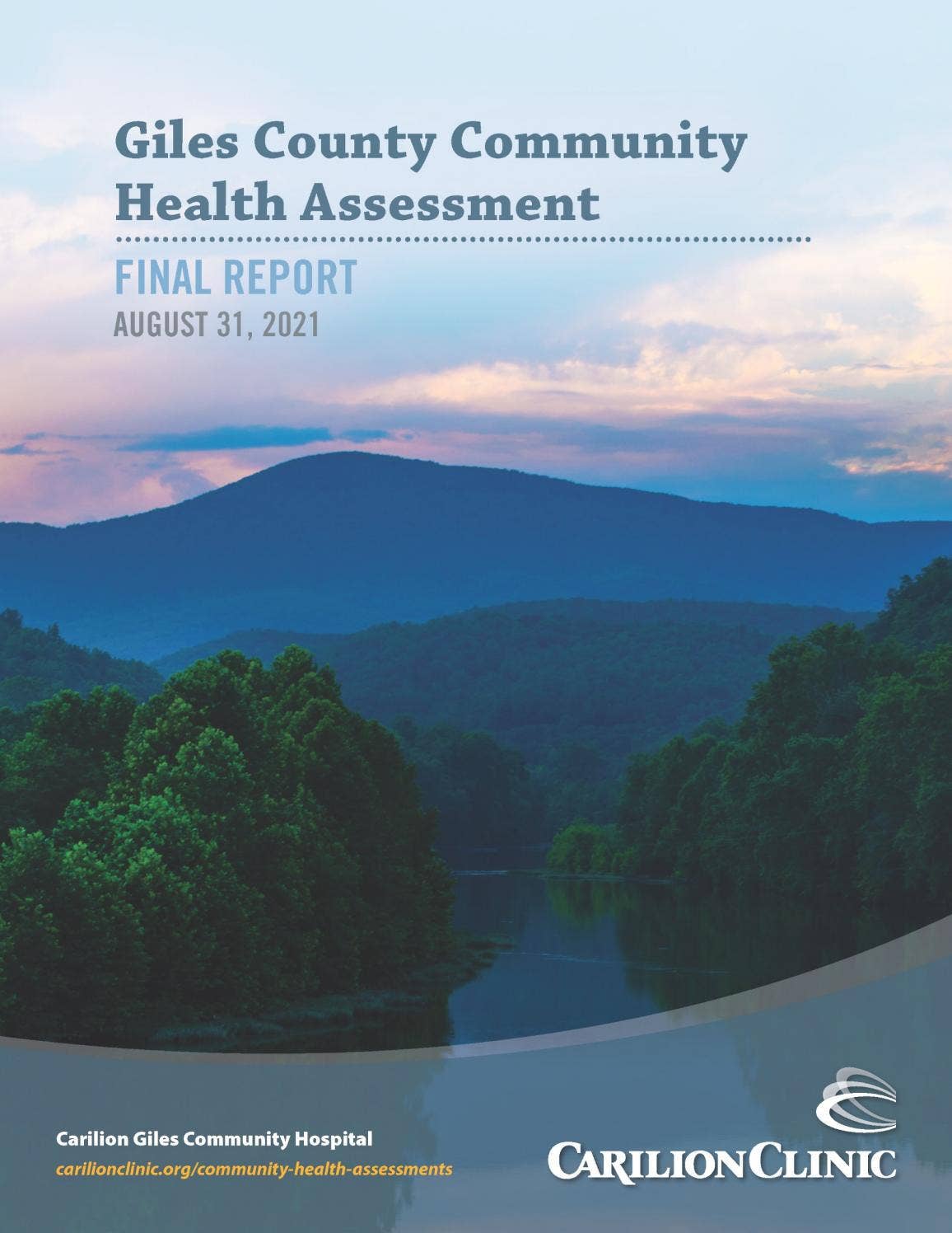 Giles County Community Health Assessment - Final Report by Carilion ...