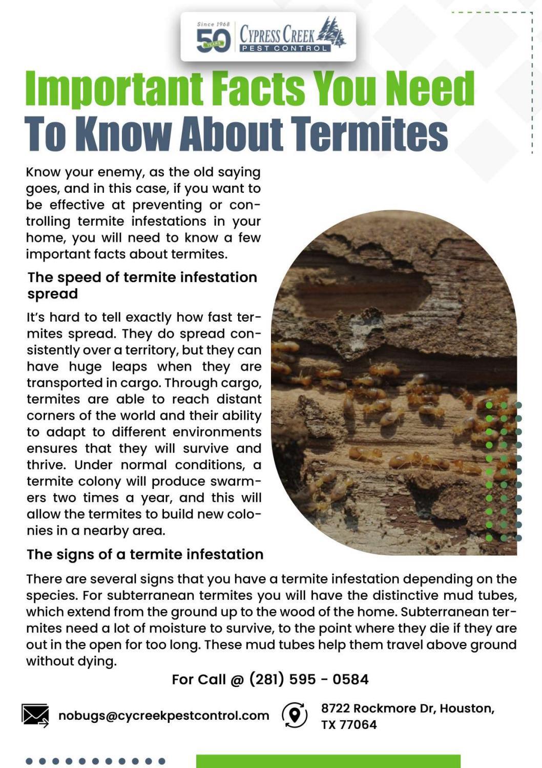 Termite Inspection Houston | Houston Spider Control by ...