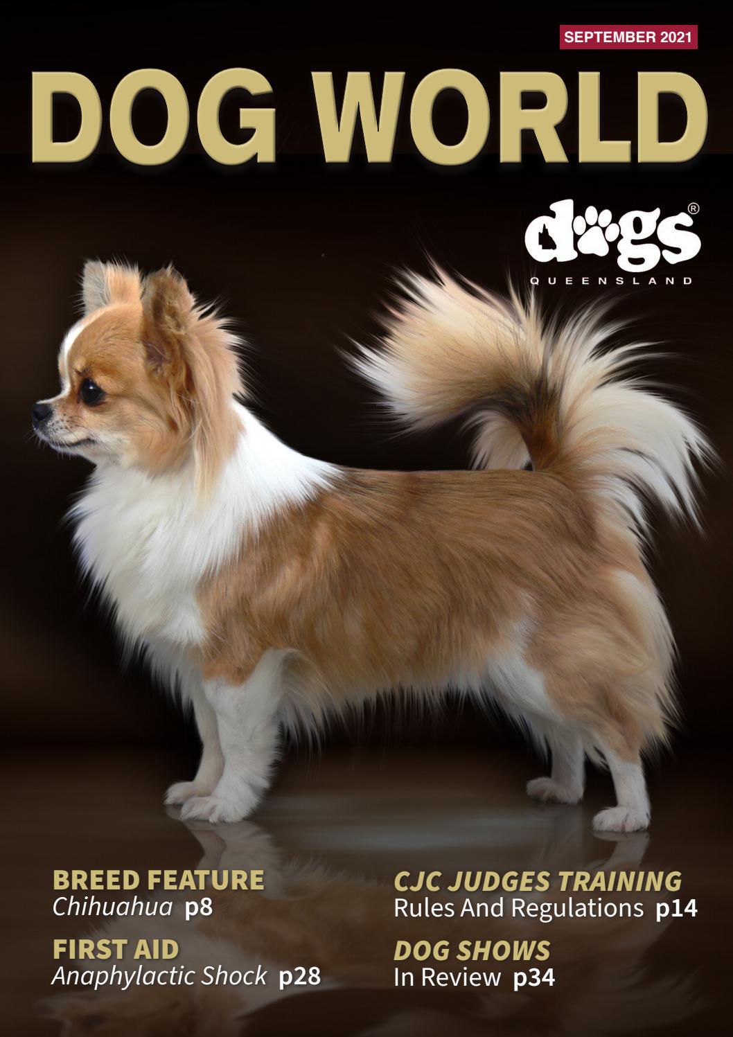 DOG WORLD MAGAZINE SEPTEMBER 2021 by Dogs Queensland - Issuu