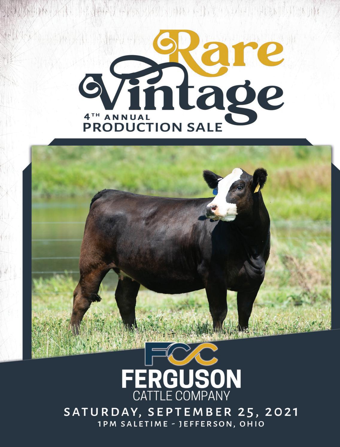 2021 Rare Vintage Sale - Ferguson Cattle Company by Nick Dwyer - Issuu