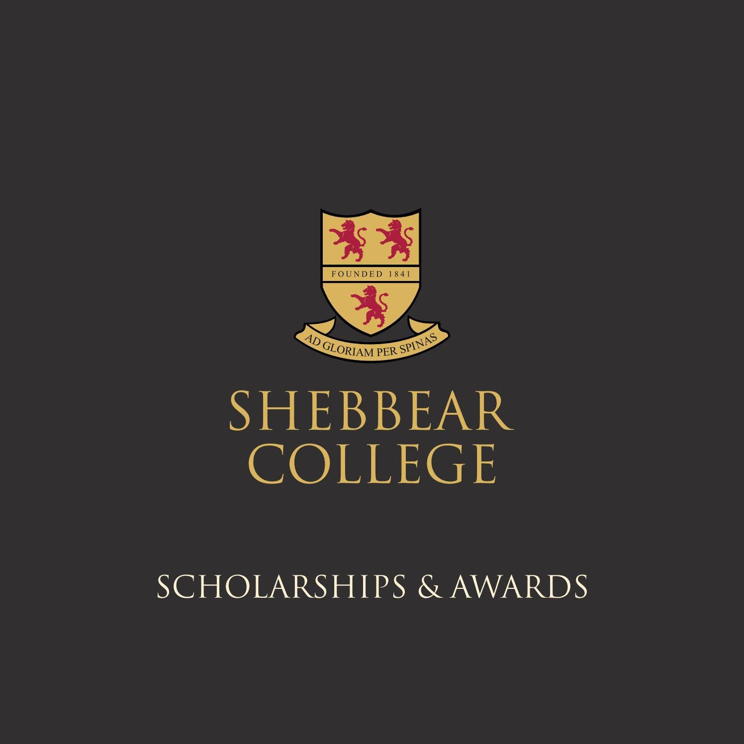 Shebbear College Scholarships and Awards by Shebbear College - Issuu