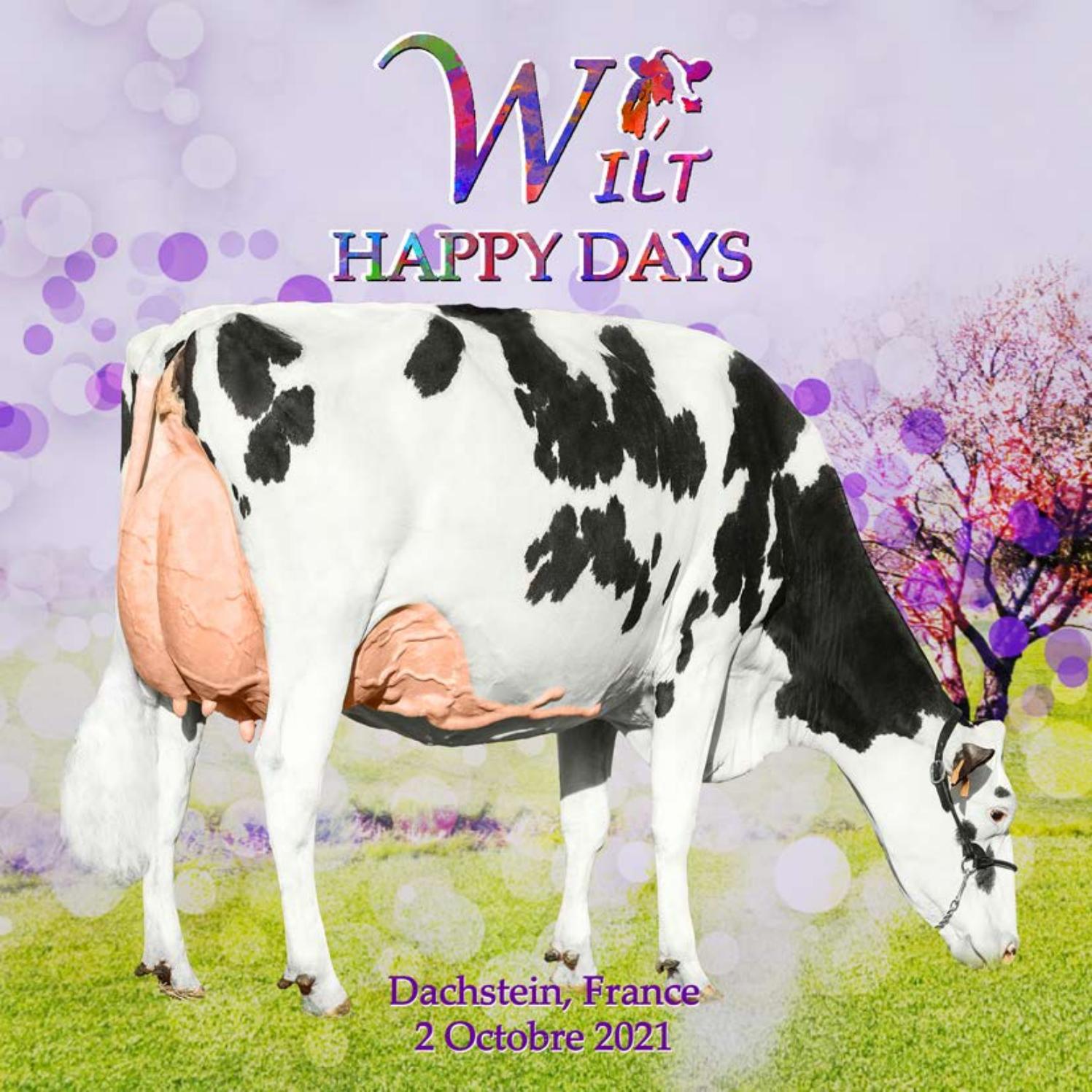WILT HAPPY DAYS 2021 by S TOLEDO - Issuu