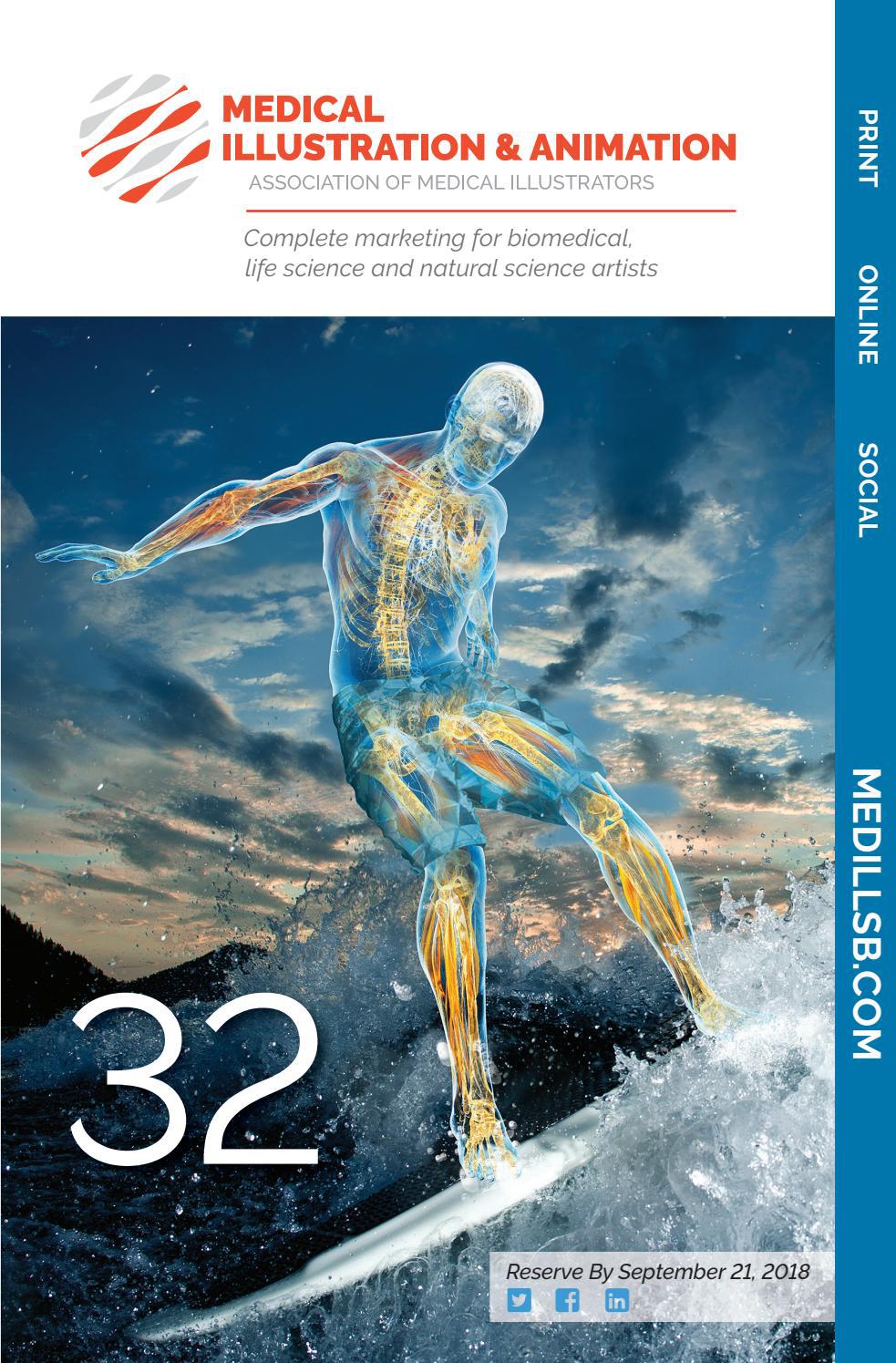 Medical Illustration & Animation brochure by Terri Wright - Issuu