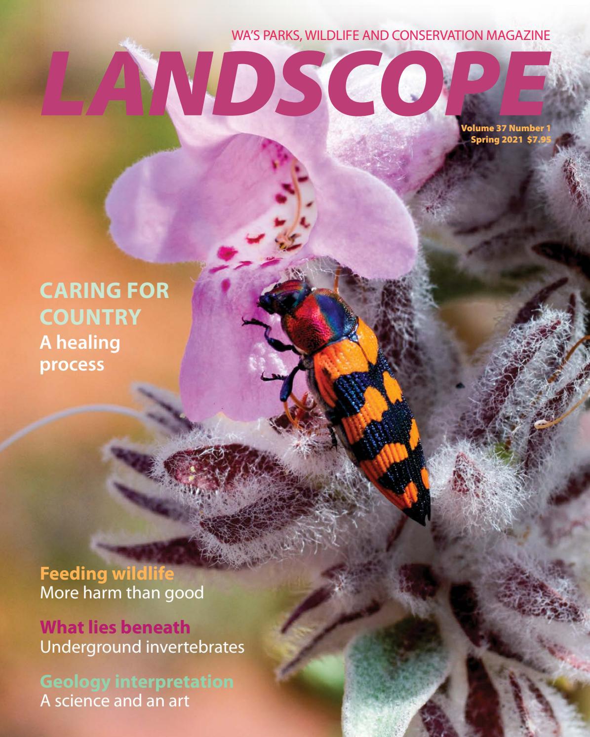LANDSCOPE Spring 2021 - Preview by WA Naturally - Issuu