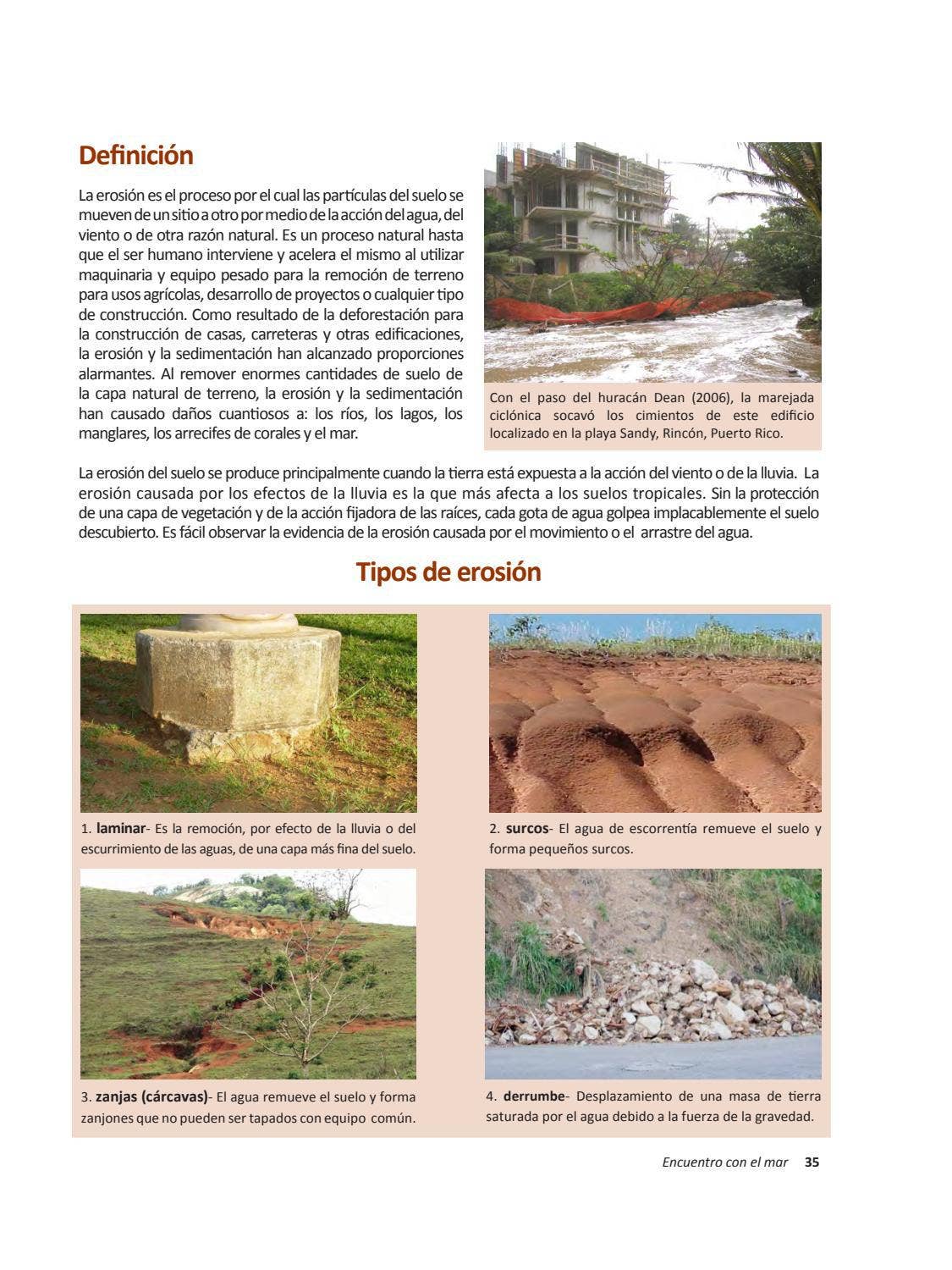 Encuentro con el mar by Puerto Rico Sea Grant - Issuu